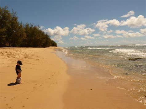 Peeing Beach Telegraph