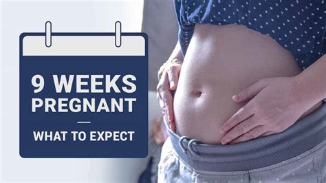 9 Weeks Pregnant Symptoms Baby Development And Tips