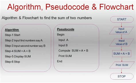 pseudo code in c javatpoint coding programming tutorial algorithm