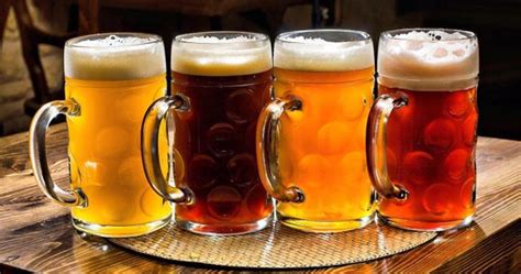 Tudo que você precisa saber sobre cervejas artesanais Roberta Jungmann
