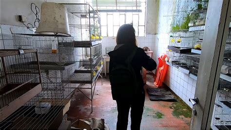 Azienda Farmaceutica Abbandonata Troviamo Le Gabbie Delle Cavie E I