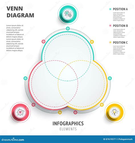 Venn Diagram Circles Infographics Template Design D Vector
