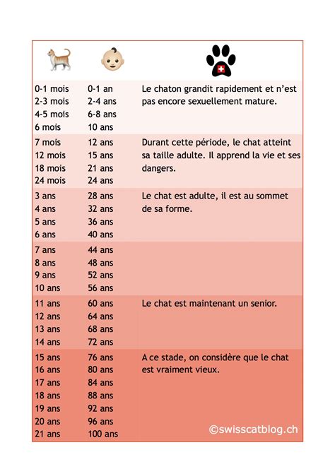 Comment Calculer Age Chat Le Comment Faire