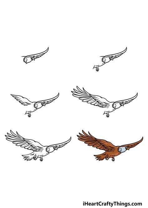How To Draw A Flying Eagle
