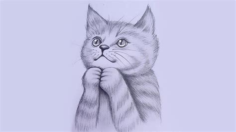 Cat Drawing Easy Step By Step Pencil Sketch For Beginners How To