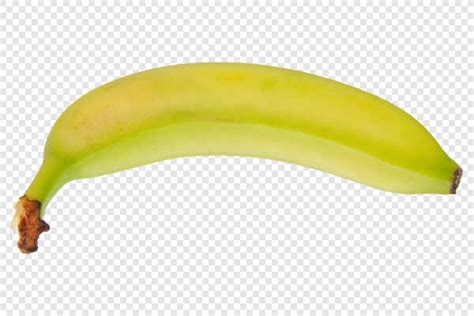 Unripe Banana 428 Dipixio Free High Quality Isolated Photos