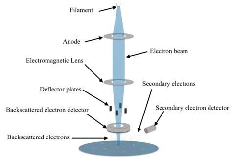 A Schematic Of The Main Components Of A Scanning Electron Microscope