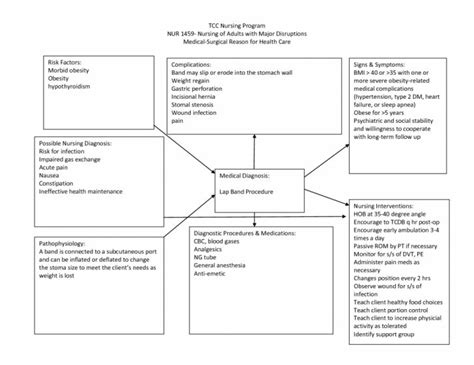 Nursing Concept Map Template Free Template Printable Paper Template