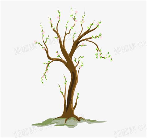 发芽在小树图片免费下载 PNG素材 编号z09ie053z 图精灵
