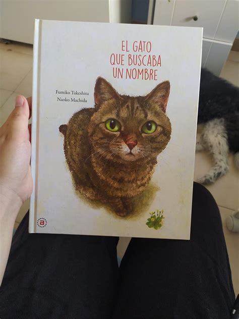 El Gato Que Buscaba Un Nombre 1 Akal Infantil Takhesita Fumiko