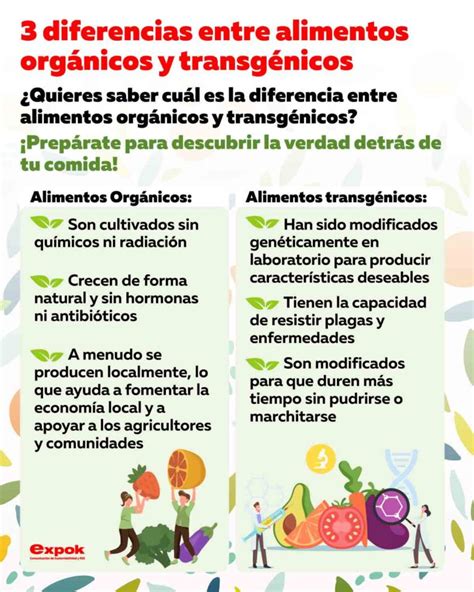 3 diferencias entre alimentos orgánicos y transgénicos ExpokNews