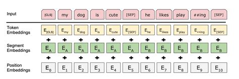 How To Code Bert Using Pytorch Tutorial With Examples