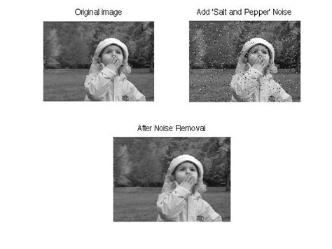 TRUTH BEHIND THE TRUTH MATLAB Code For ADD AND REMOVE SALT AND PEPPER