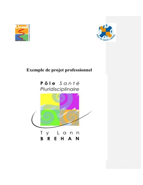 Projet Professionnel Exemple De Situation Professionnelle Aide