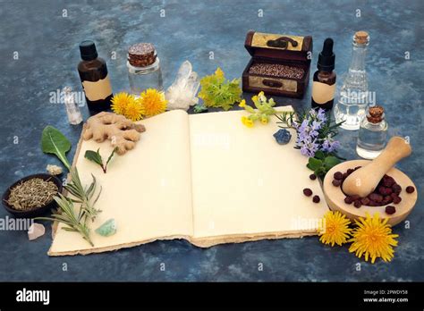 Medicina natural de plantas a base de hierbas para la curación natural