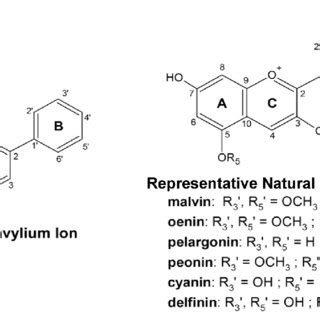Structures Of The Basic Anthocyanin Chromophoric Unit The