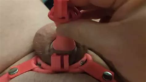 Ich Setze Meinen Umgedrehten Keuschheitskäfig Auf Meinen Neuen Ball Xhamster