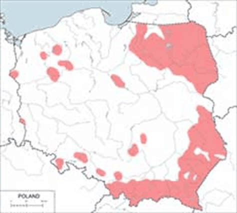 Zwierzaki Info Pl