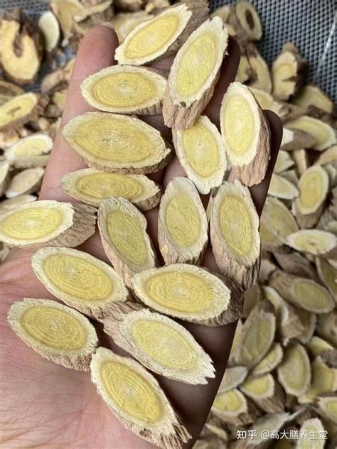 每天认识一味中药黄芪 知乎