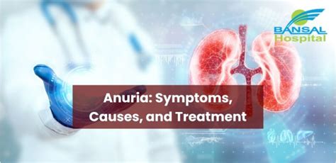 Anuria Symptoms Causes And Treatment Bansal Hospital