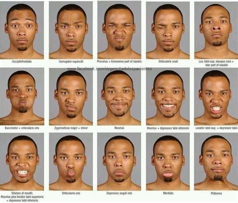 Muscle Exercise Facial Muscle Exercise For Bell S Palsy