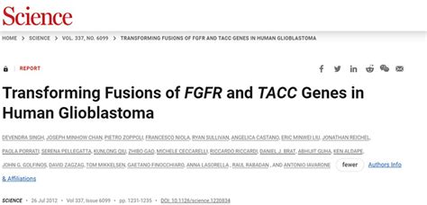 Transforming FGFR TACC Gene Fu IMAGE EurekAlert Science News Releases