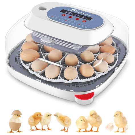 Amazon Sailnovo Eggs Incubators For Hatching Eggs Modes Egg