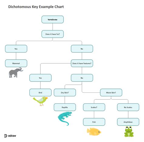 Dichotomous Key Example Edrawmax Editable Template Dichotomous Key