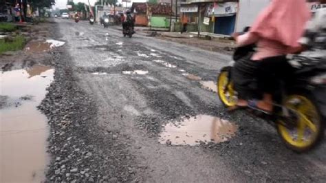 Jokowi Ke Lampung Besok Cek Jalan Rusak Yang Ada Di Video Bener Enggak