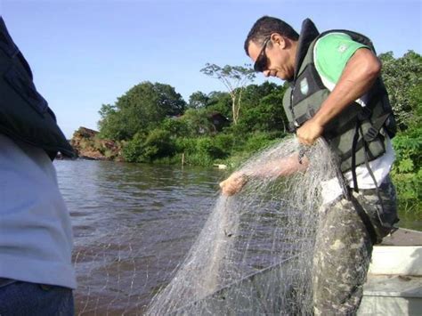 G1 Chegada do período da Piracema proíbe a pesca nos rios do