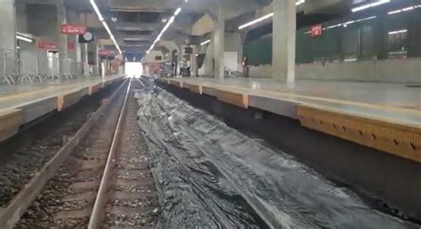 Metrô inicia instalação de portas de plataforma na estação Palmeiras