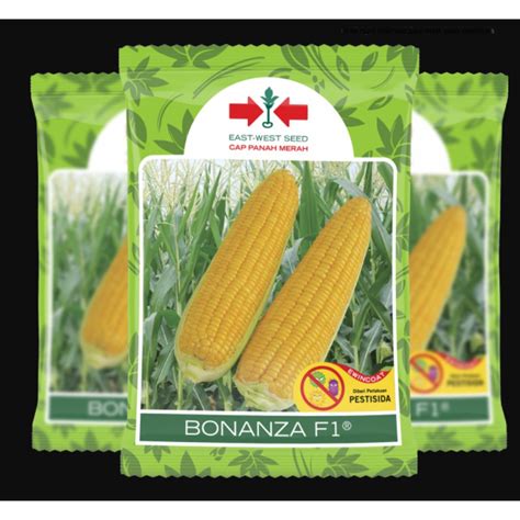 Jual Benih Jagung Manis Bonanza Now F Butir Kemasan Asli Pabrik