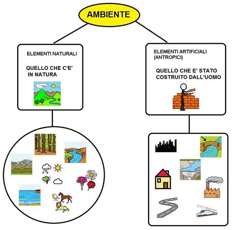 Elementi Naturali E Antropici Mappa Concettuale Artofit