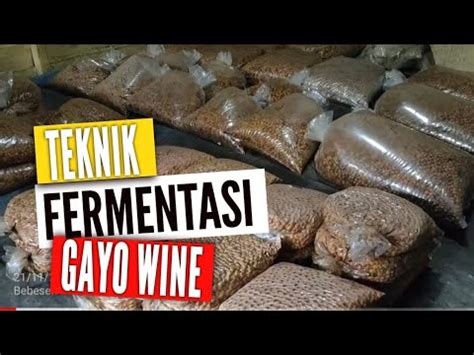 Teknik Fermentasi Kopi Wine Hari Youtube