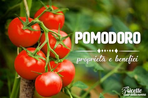 Pomodoro proprietà benefici e controindicazioni Ricette della Nonna