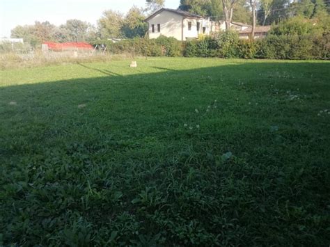 Terreno Edificabile Via Piave Casale Sul Sile Rif 99186852