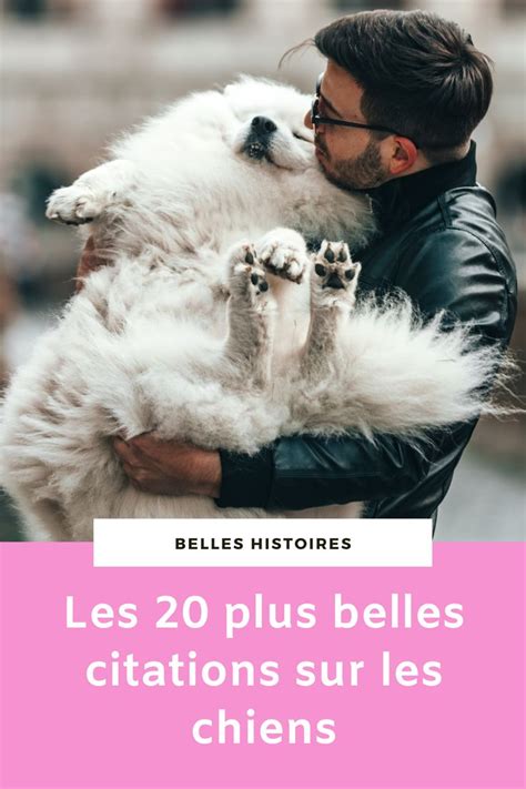 Les 20 Plus Belles Citations Sur Les Chiens Citation Chien Chien