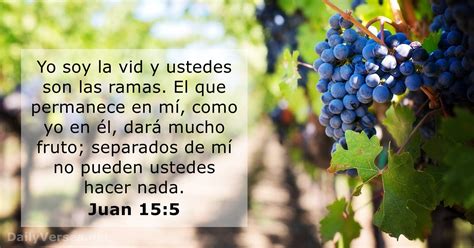 Juan 15 5 Versículo de la Biblia DailyVerses net