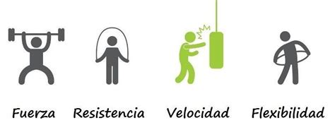 Cuáles son las capacidades físicas condicionales