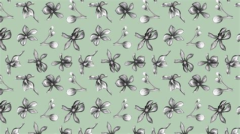 Sage Green Laptop HD Wallpapers Pxfuel Atelier Yuwa Ciao Jp