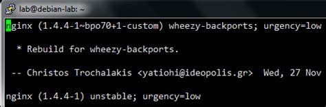 如何在 Debian Wheezy 中为 Nginx 添加 ngx pagespeed 模块 天下站长网