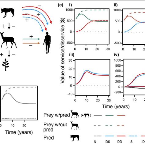 the predator prey economic model assumes a trophic interactions both download scientific