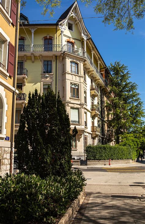 Al Aire Libre Fotograf A Rboles Plantas Vegetaci N Setos Urbano