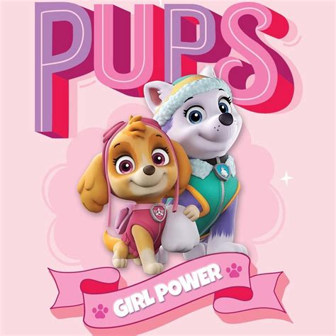Everest Paw Patrol Wallpapers Wallpaper Cave