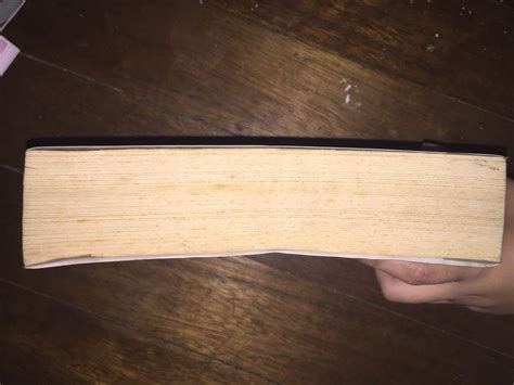 Merriam Webster And Garfield Dictionary Hobbies Toys Books