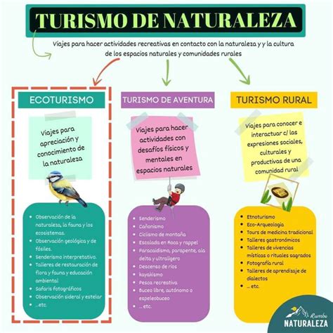 Qué Es El Ecoturismo Actividades Principios Y Más