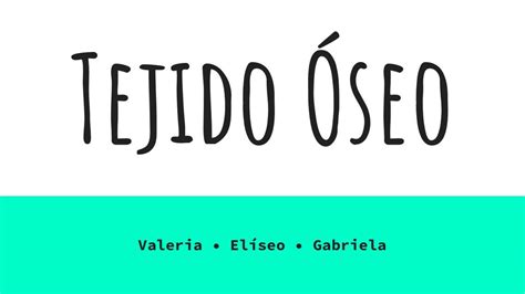 Tejido Seo Generalidades Valeria Garc A Udocz