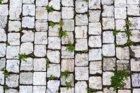 Jak Usun Mech I Traw Z Kostki Brukowej Sposob W Ogr D Pro