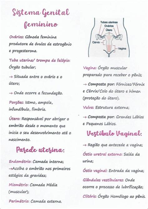 Mapa Mental Do Sistema Genital Feminino Librain