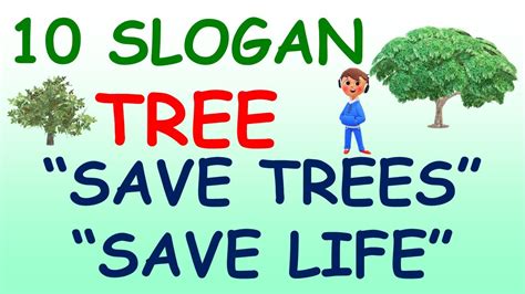 Top Save Trees Images Amazing Collection Save Trees Images Full K